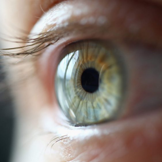 Eyelid and Facial Spasms | Gold Coast | Eye Specialist Institute