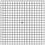 Amsler Grid - Free Printable PDF | Eye Specialist Institute | Gold Coast